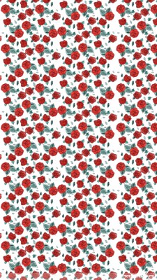 Red Roses Header Twitter - 541x960 Wallpaper - teahub.io