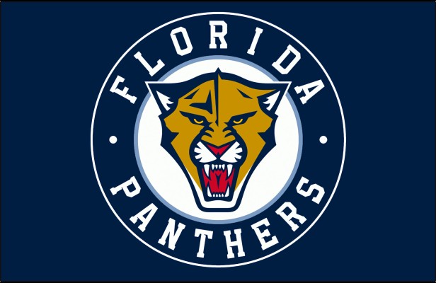 Blue Florida Panthers Jersey - 2560x1661 Wallpaper - teahub.io