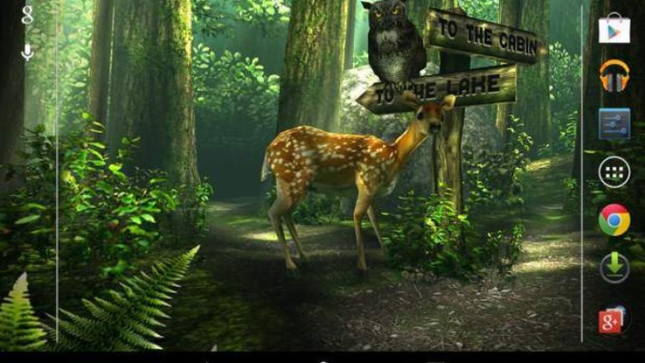 Deer Forest Hd Live - 1280x720 Wallpaper - teahub.io