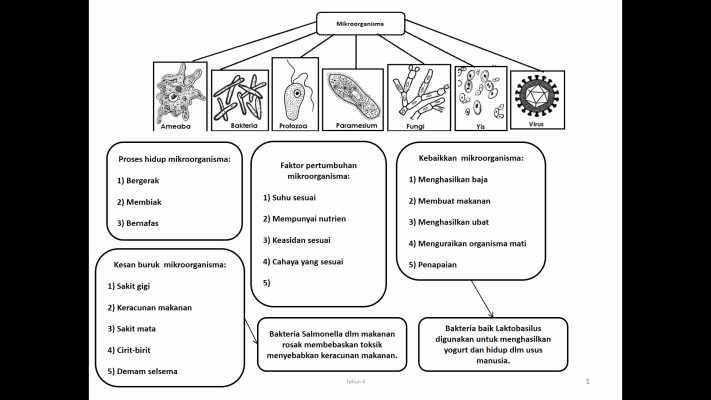 Wallpaper Bintang Bergerak - 910x607 Wallpaper - teahub.io