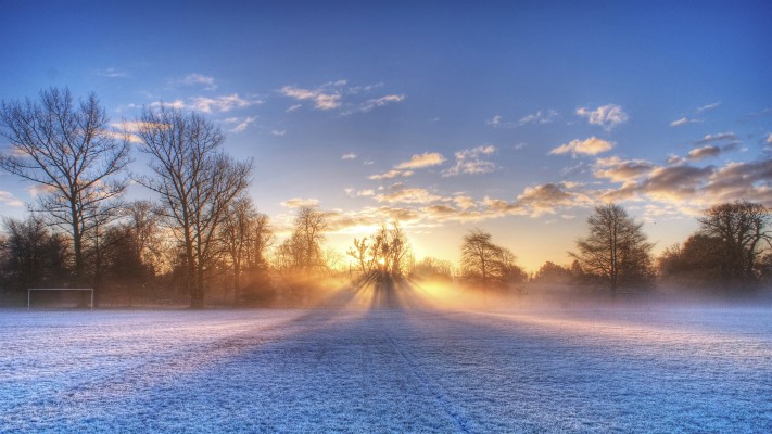 Wallpaper Winter, Football Ground, Snow, Trees, Sun - Winter Field ...