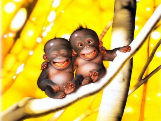 Free Funny Wallpapers - Baby Monkey Yellow Background - 1024x768 ...