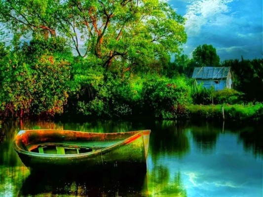 Nature Emphasis Photography - 1024x640 Wallpaper - teahub.io