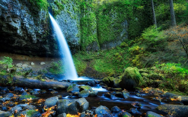Portland Oregon Nature - 2560x1440 Wallpaper - teahub.io