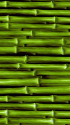 Hd Bamboo Wallpaper Iphone - 640x960 Wallpaper - teahub.io