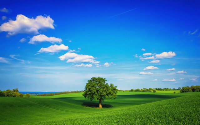 Blue Sky Wallpaper 4k - 2560x1600 Wallpaper - teahub.io