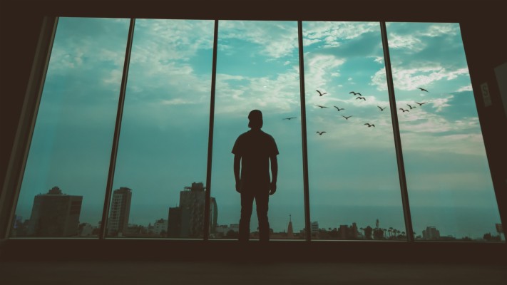 Man Silhouette Window Birds - 1920x1080 Wallpaper - teahub.io